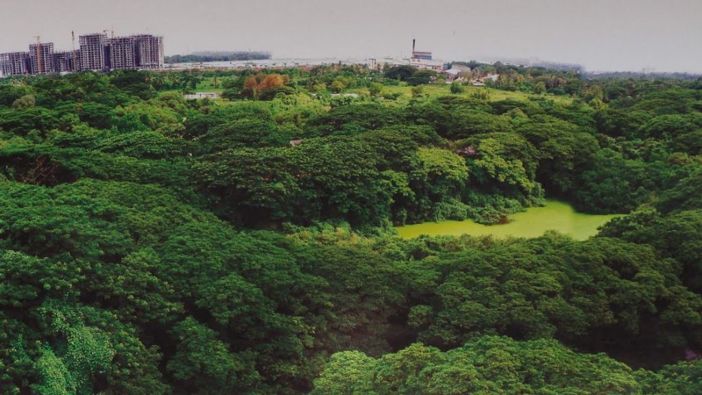 MANGALAVANAM BIRD SANCTUARY